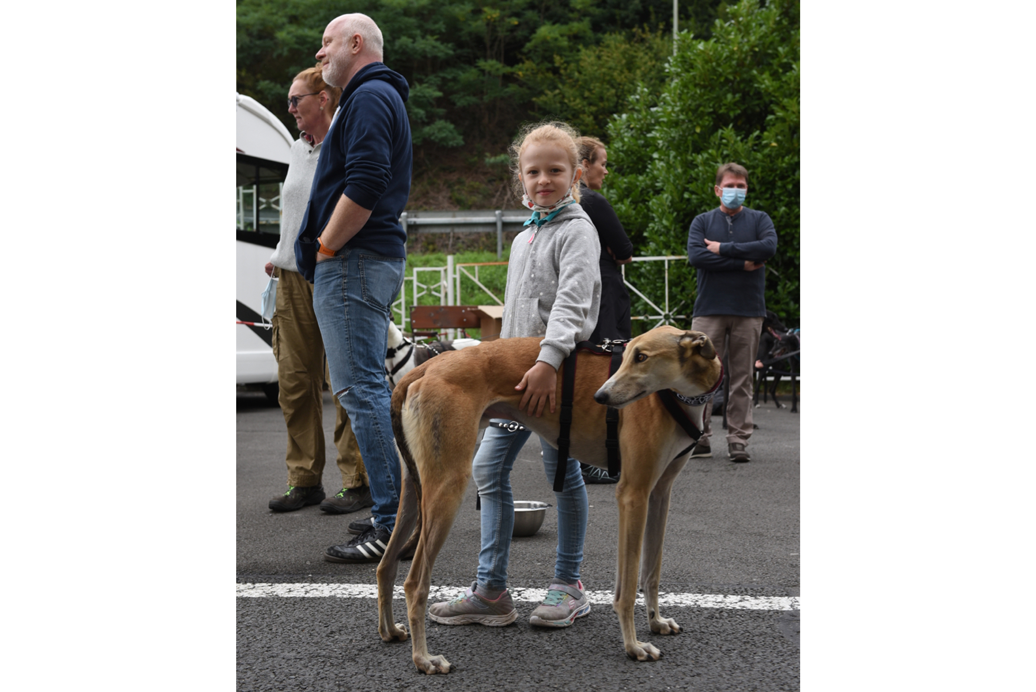 Greyhound Forever e.V.