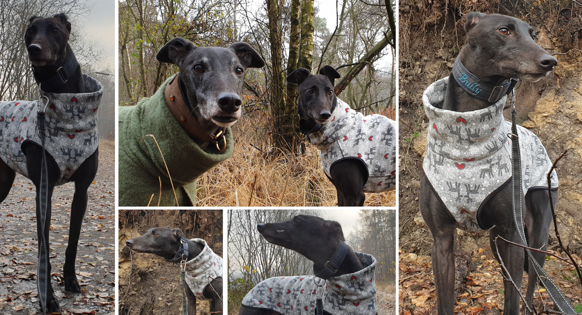 Greyhound Forever e.V.