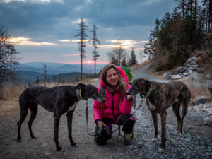 Das Team – Greyhound Forever e.V.